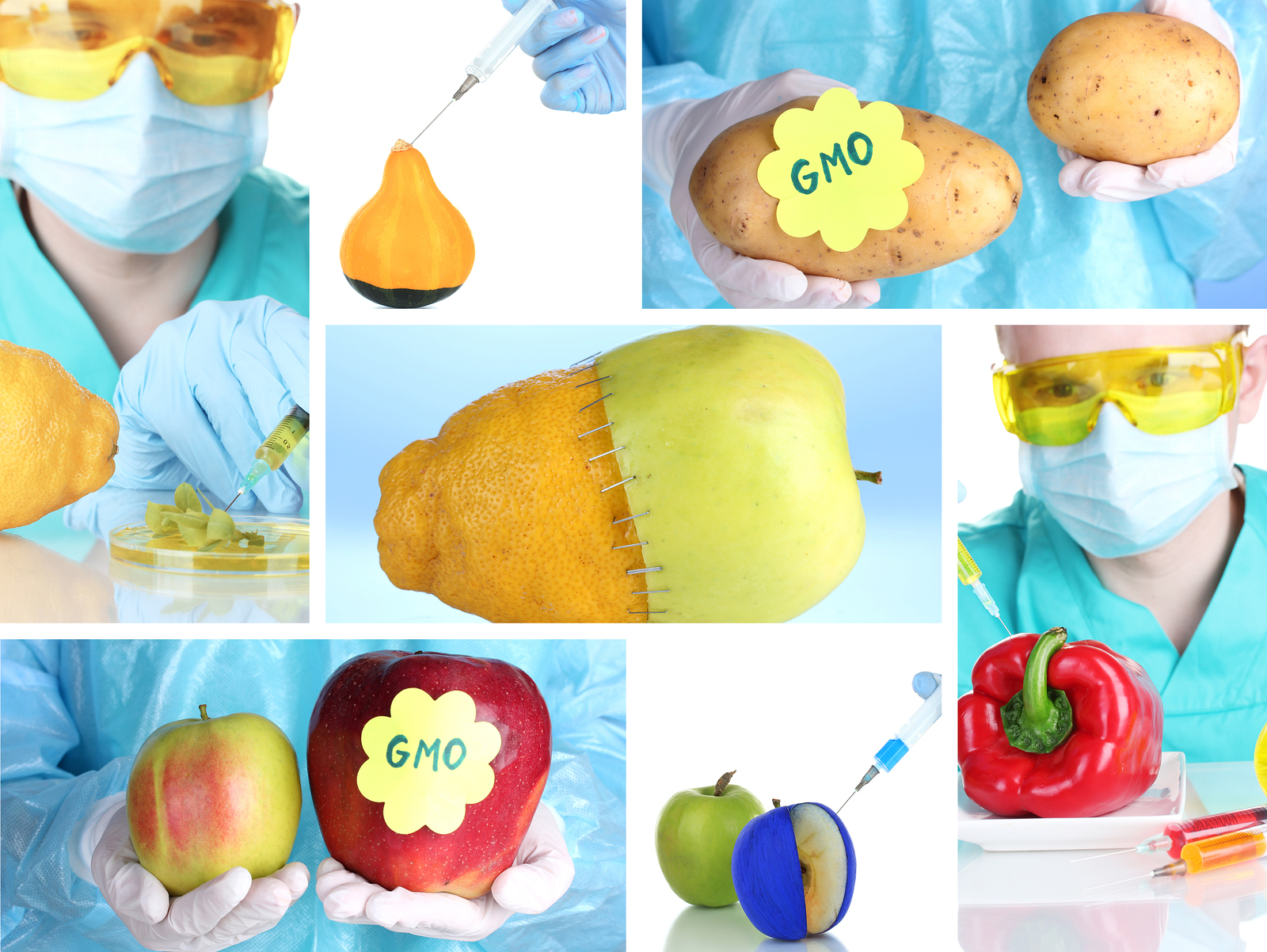 Genetically Modified Foods
